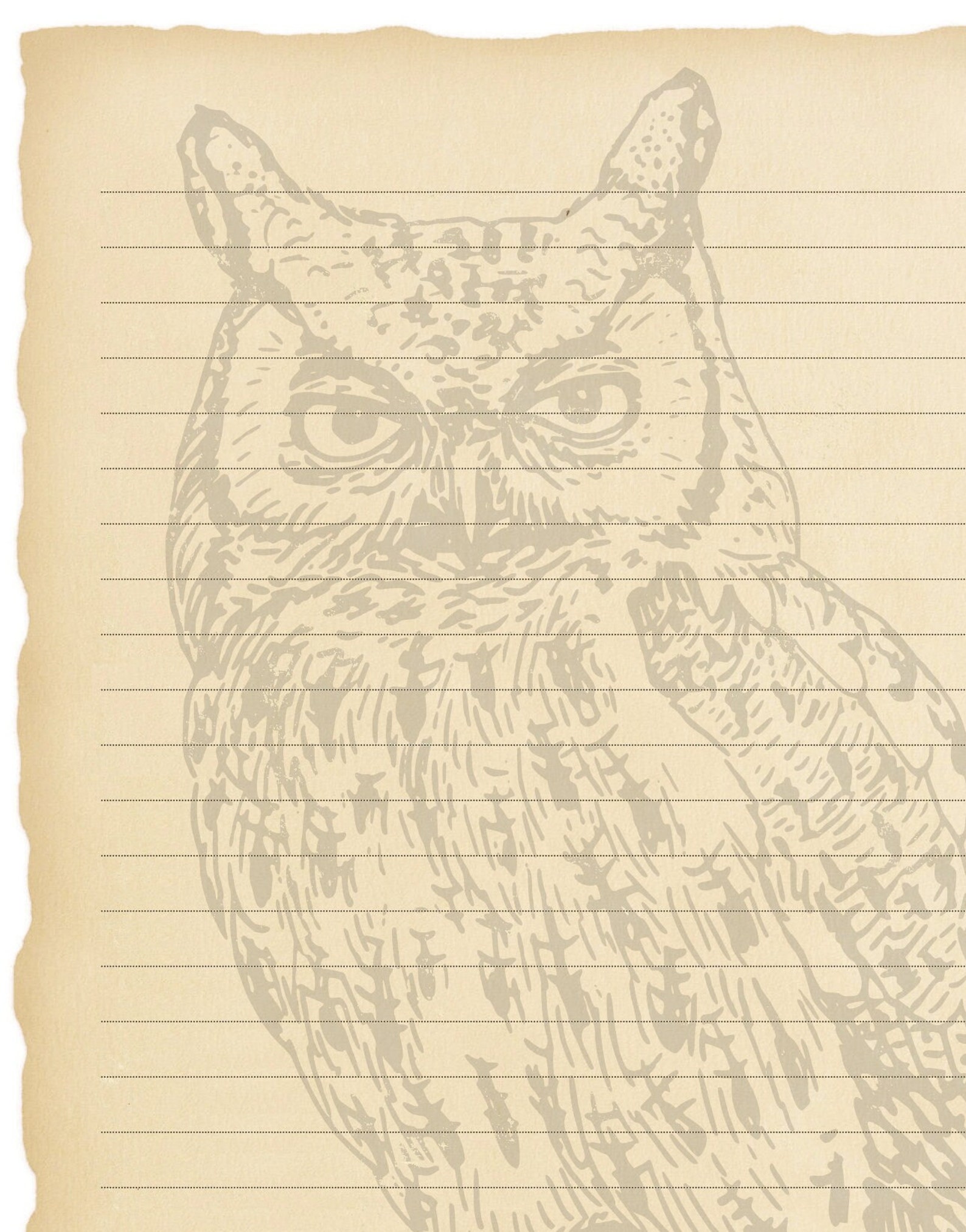 Printable Owl Parchment Paper: Wizard Party Stationery (PDF & PNG) - Etsy