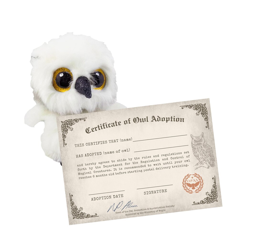 Printable Owl Adoption Certificate for Witchy Themed Party Decoration ...