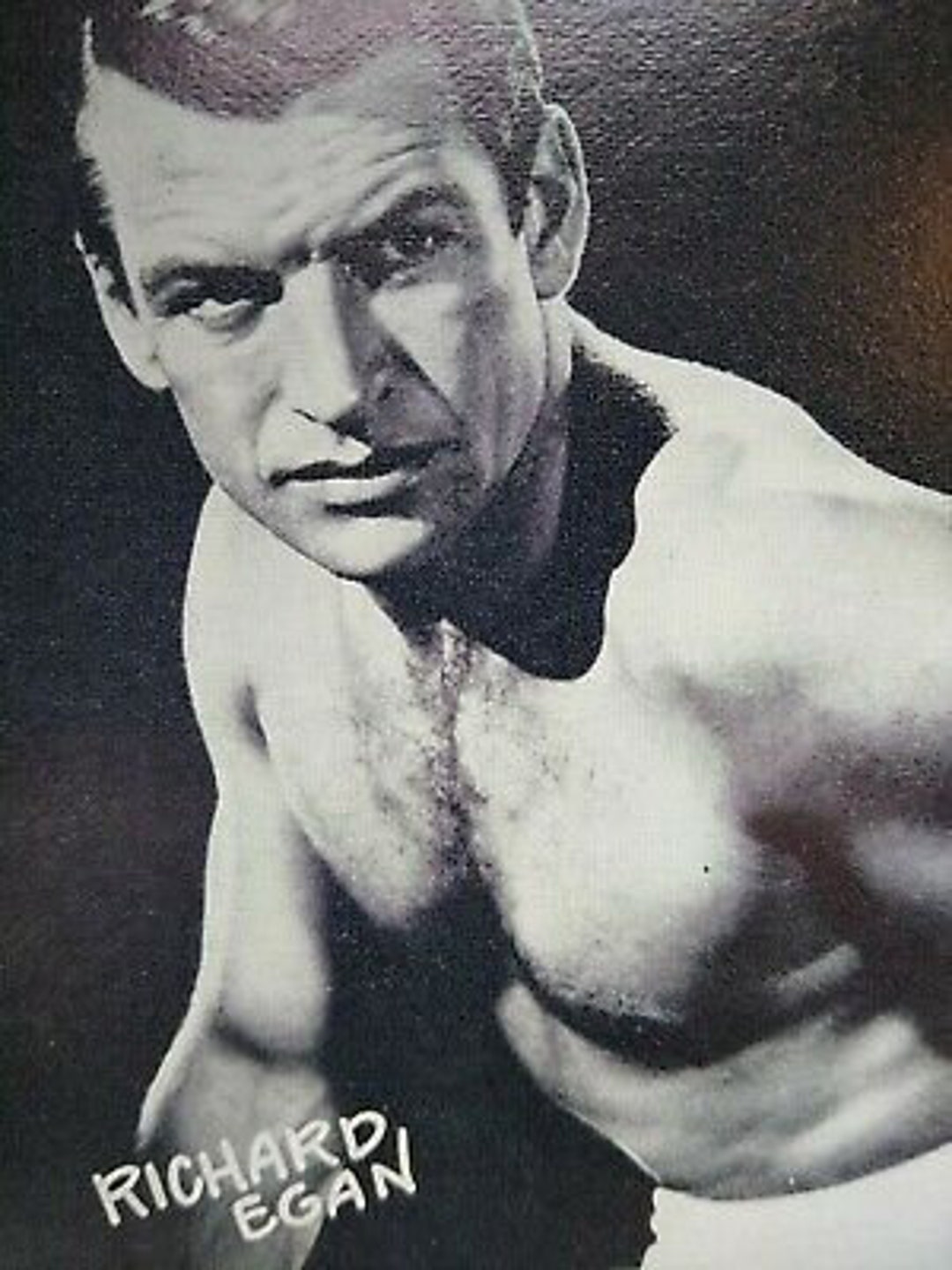 Richard Egan Shirtless Beefcake Postcard Actor Card Original - Etsy