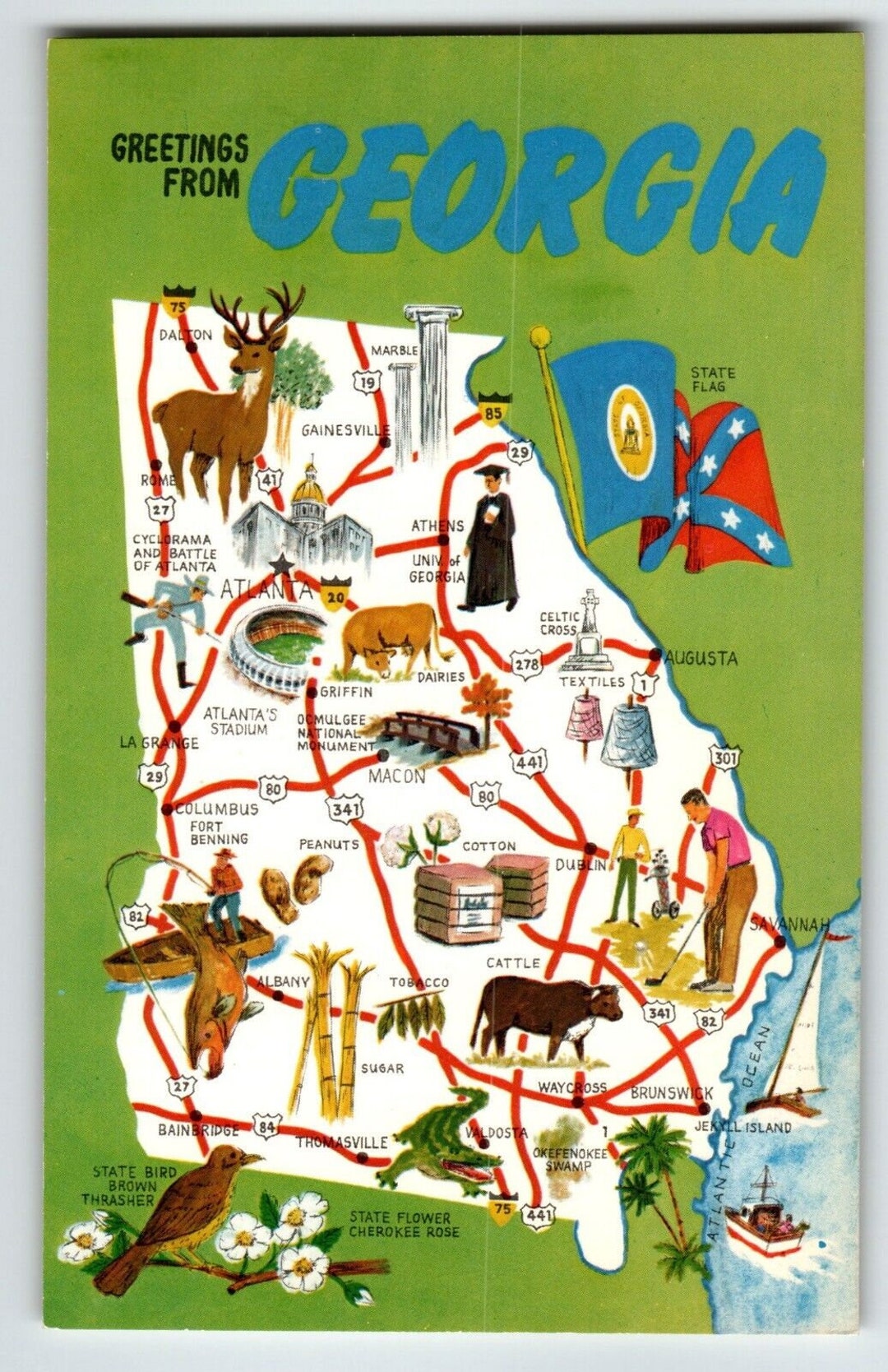 Greetings From Georgia Postcard Map Chrome State Brown Thrasher Bird ...