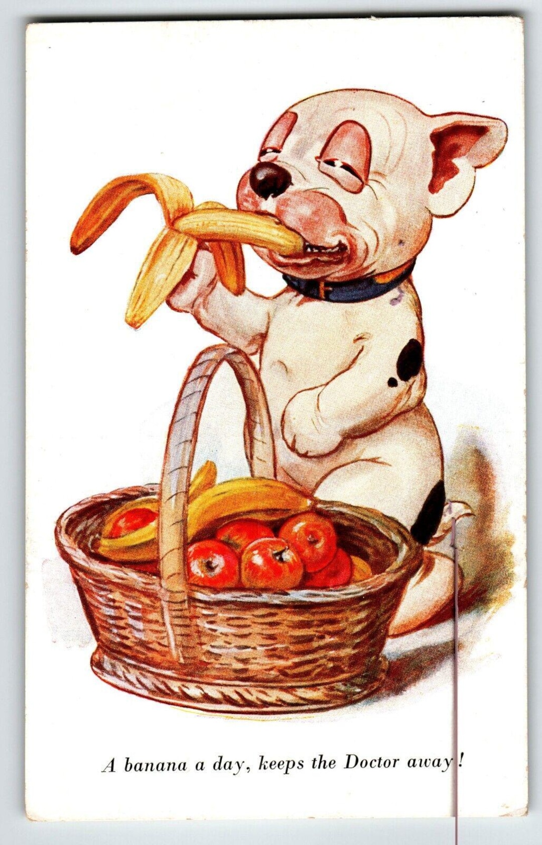 Bonzo Puppy Dog A Banana A Day Postcard Fantasy Anthropomorphic A.R ...