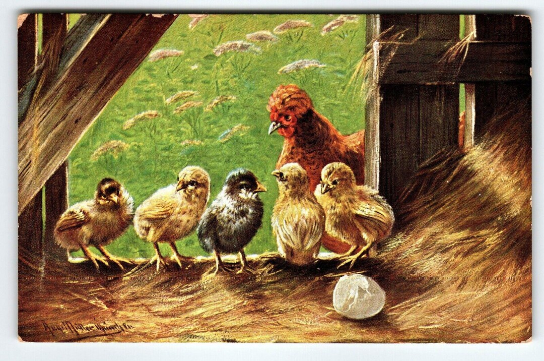 Hen Baby Chicks Cracked Egg Barn Signed Muller Germany Rustic Animals ...