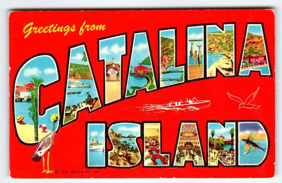 Greetings From Catalina Island California Large Letter Postcard Curt ...