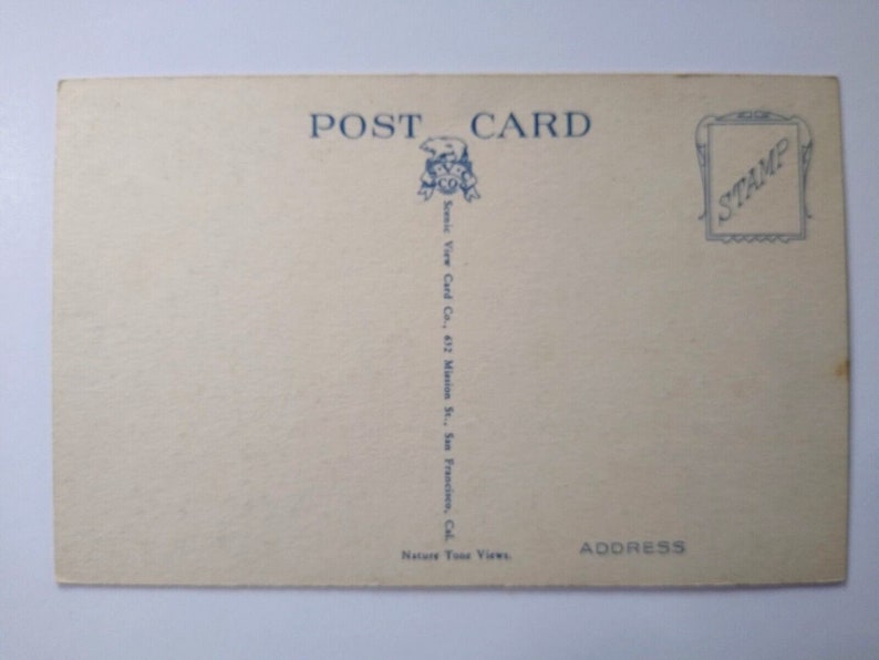 Greetings From California Large Letter Linen Postcard Curt Teich Unused ...