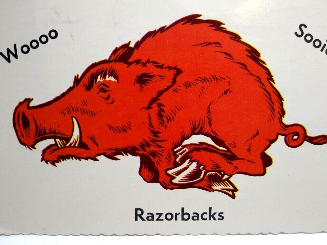 Razorbacks Wild Pig Hog Boar Mascot Vintage Postcard Fayetteville ...