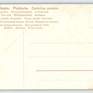 Postcard Deer & Hunting Dog in Woods Rustic Nature Signed Muller HKM ...