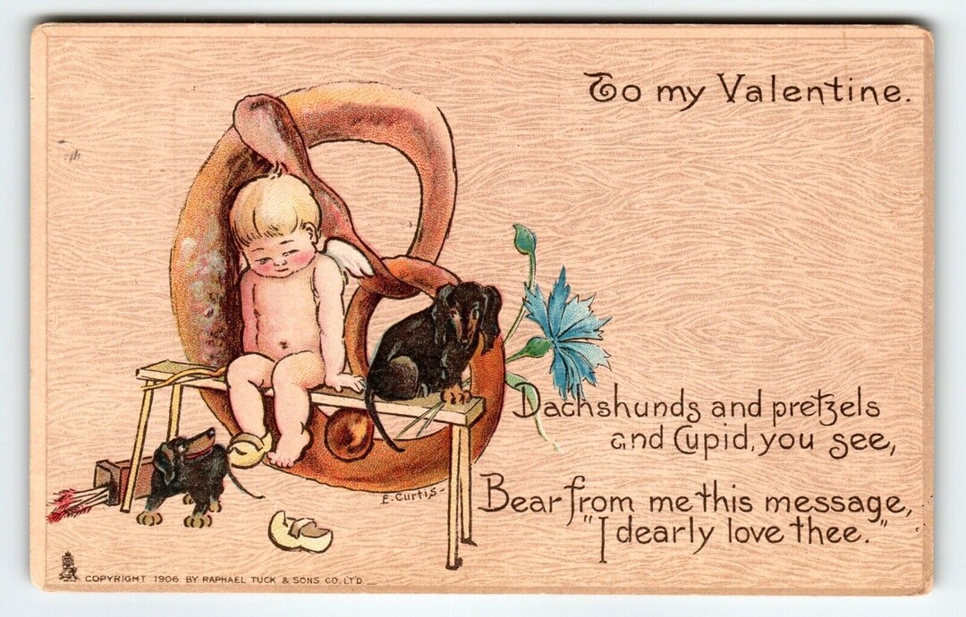 Valentines Day Postcard Tuck E Curtis Boy Pretzel Dachshund Dogs Puppy ...