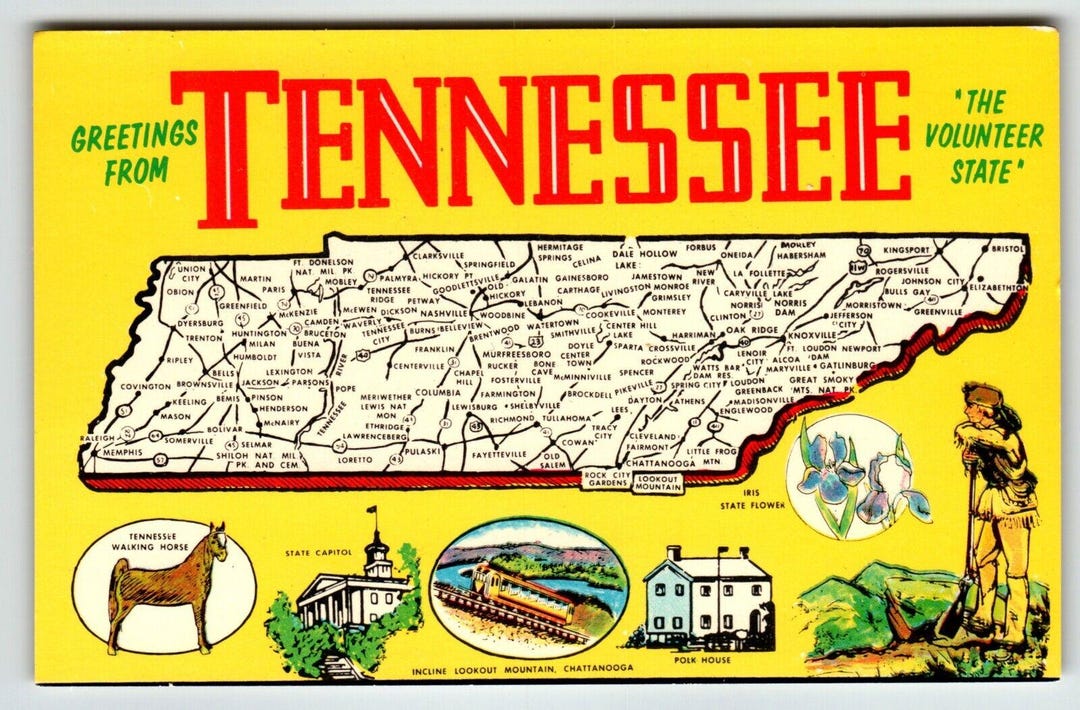 Postcard Greetings From Tennessee Map Chrome State Walking Horse Iris ...