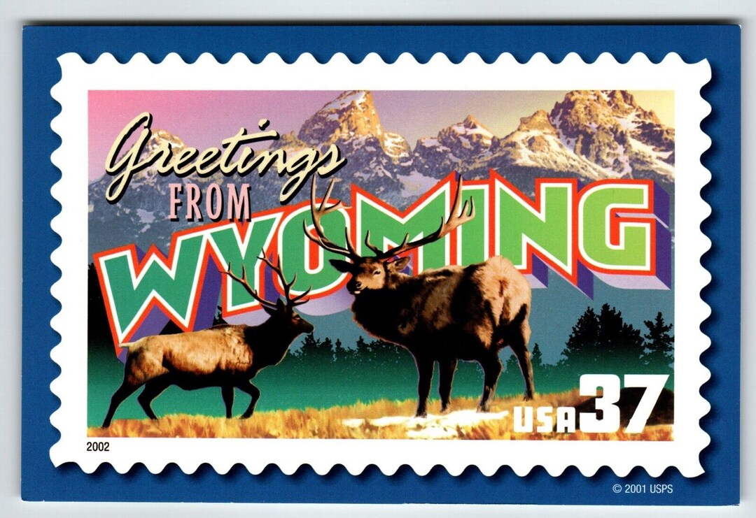 Greetings From Wyoming Large Letter Chrome Postcard USPS 2001 - Etsy