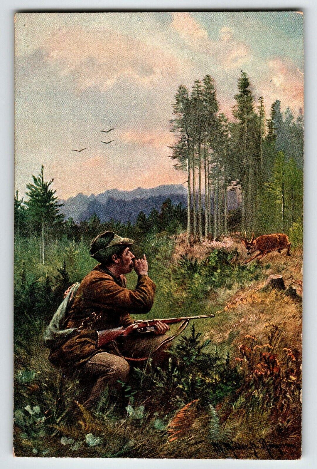 Deer Hunted by Hunter Postcard Signed Vintage Hunting Season Nature ...