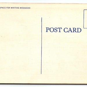 Greetings From Cayuga Lake State Park New York Large Big Letter Linen ...