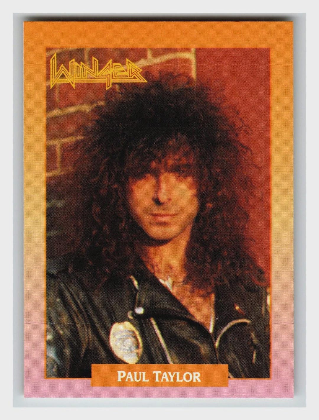 Winger Paul Taylor 1991 ROCKCARDS BROCKUM #279 - Etsy