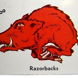 Razorbacks Wild Pig Hog Boar Mascot Vintage Postcard - Etsy