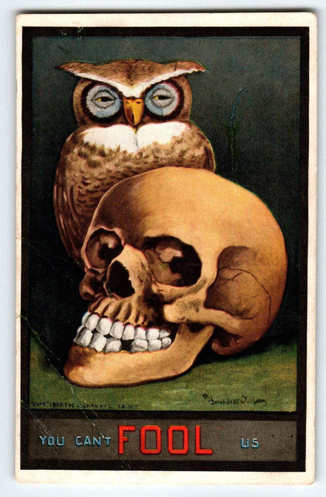 You Can't April Fool Us Postcard Owl Skull Fantasy Skeleton Head B ...
