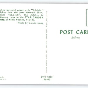 Weeki Wachee Florida Postcard Swimsuit Mermaid Retired Adolph Dolphin ...