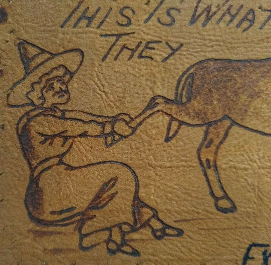 Antique Halloween Postcard Leather Witch Pulling Donkeys Leg 1907 E St ...