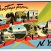 Greetings From Cayuga Lake George New York Large Big Letter Linen ...
