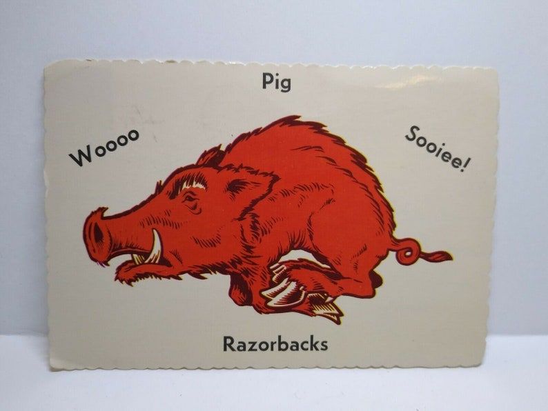 Razorbacks Wild Pig Hog Boar Mascot Vintage Postcard - Etsy