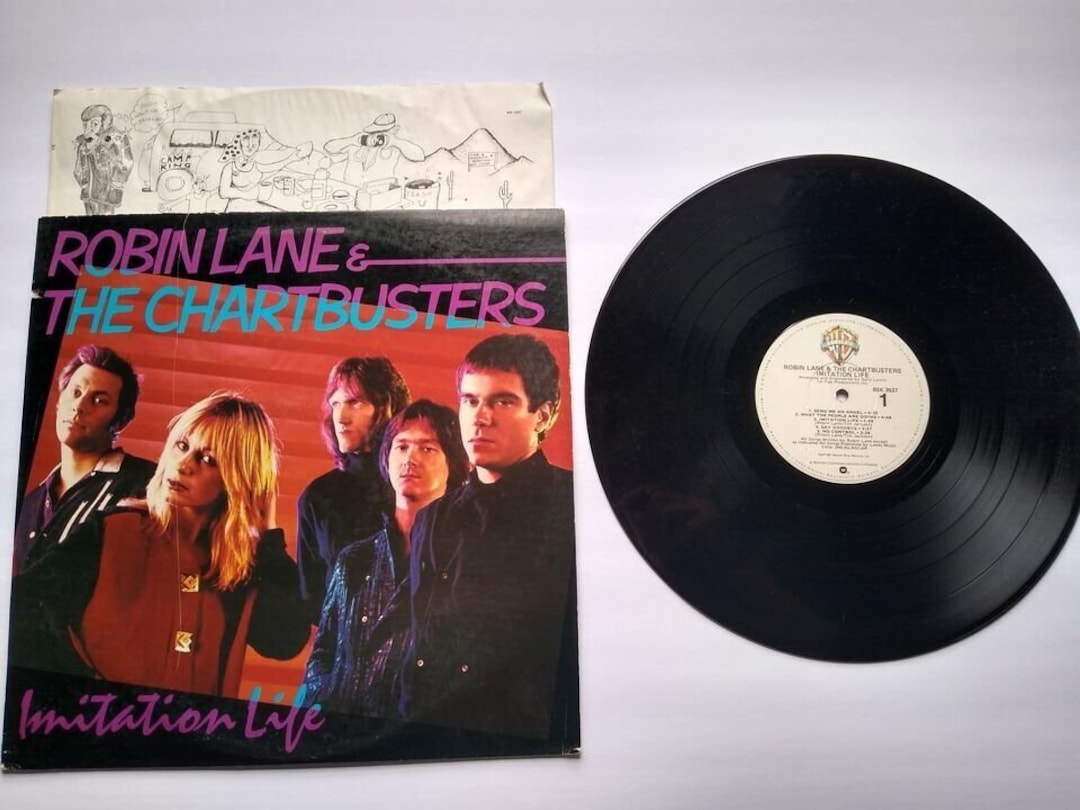 Robin Lane and the Chartbusters Vinyl LP Record Album Vintage New Wave ...