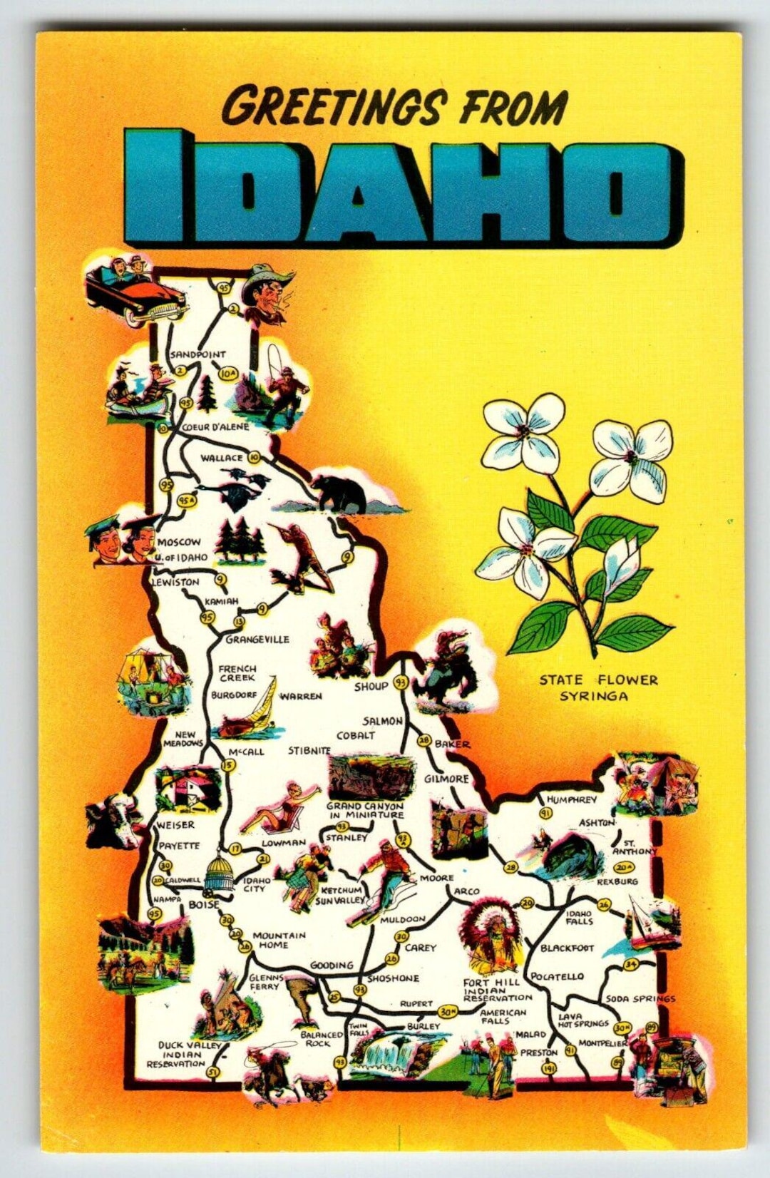 Postcard Greetings From Idaho Map Chrome Syringa State Flower Unused ...