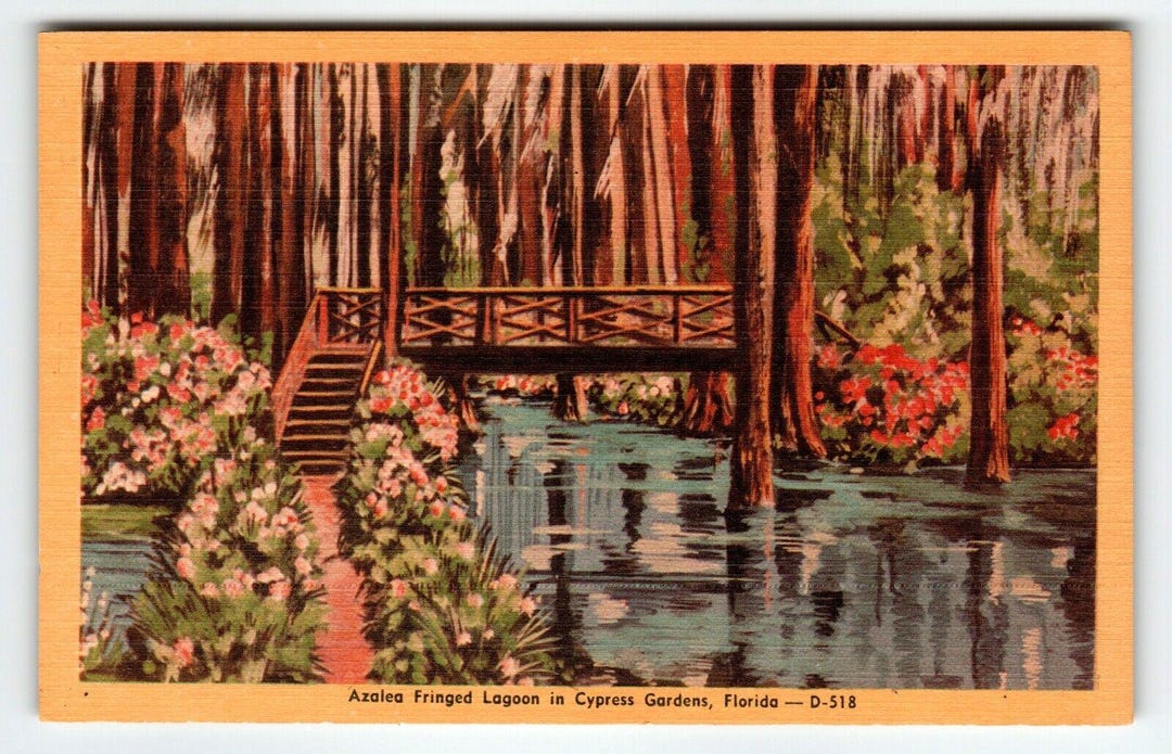 Cypress Gardens Azalea Fringed Lagoon Florida Postcard Linen Unused ...
