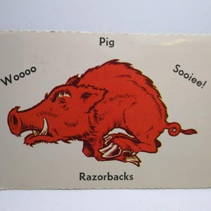 Razorbacks Wild Pig Hog Boar Mascot Vintage Postcard Fayetteville ...