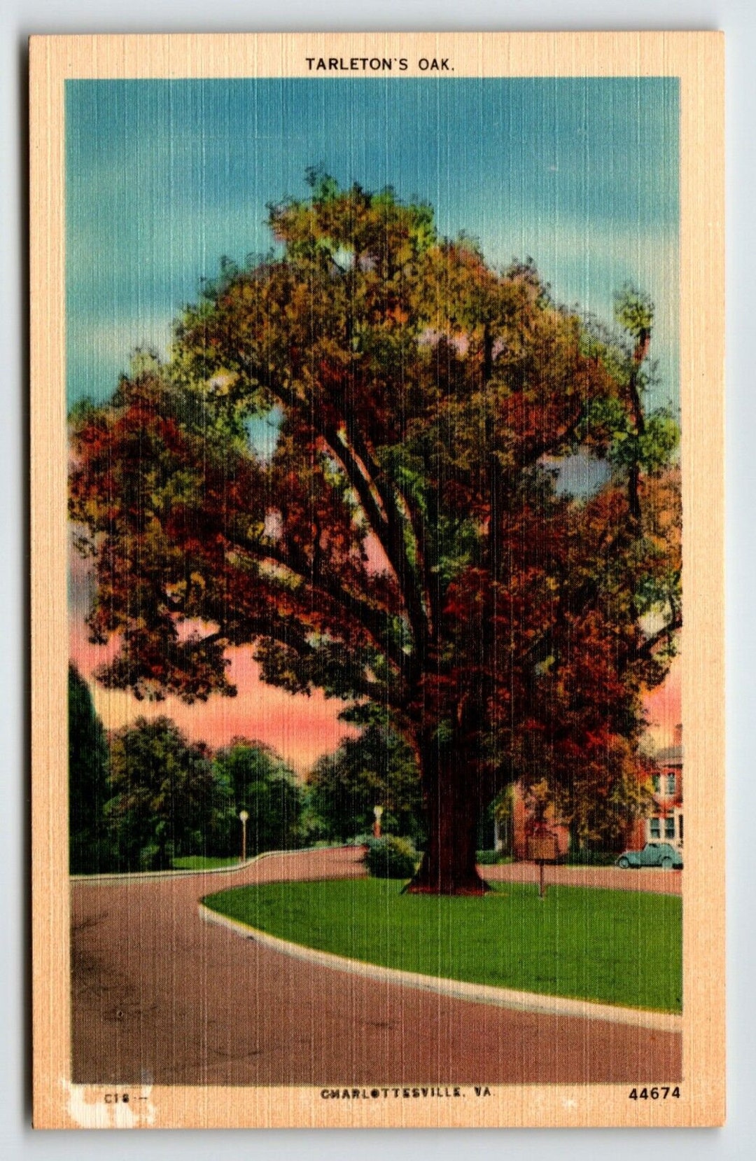 Tarleton's Oak Tree Charlottesville Virginia Postcard Linen VA Unposted ...