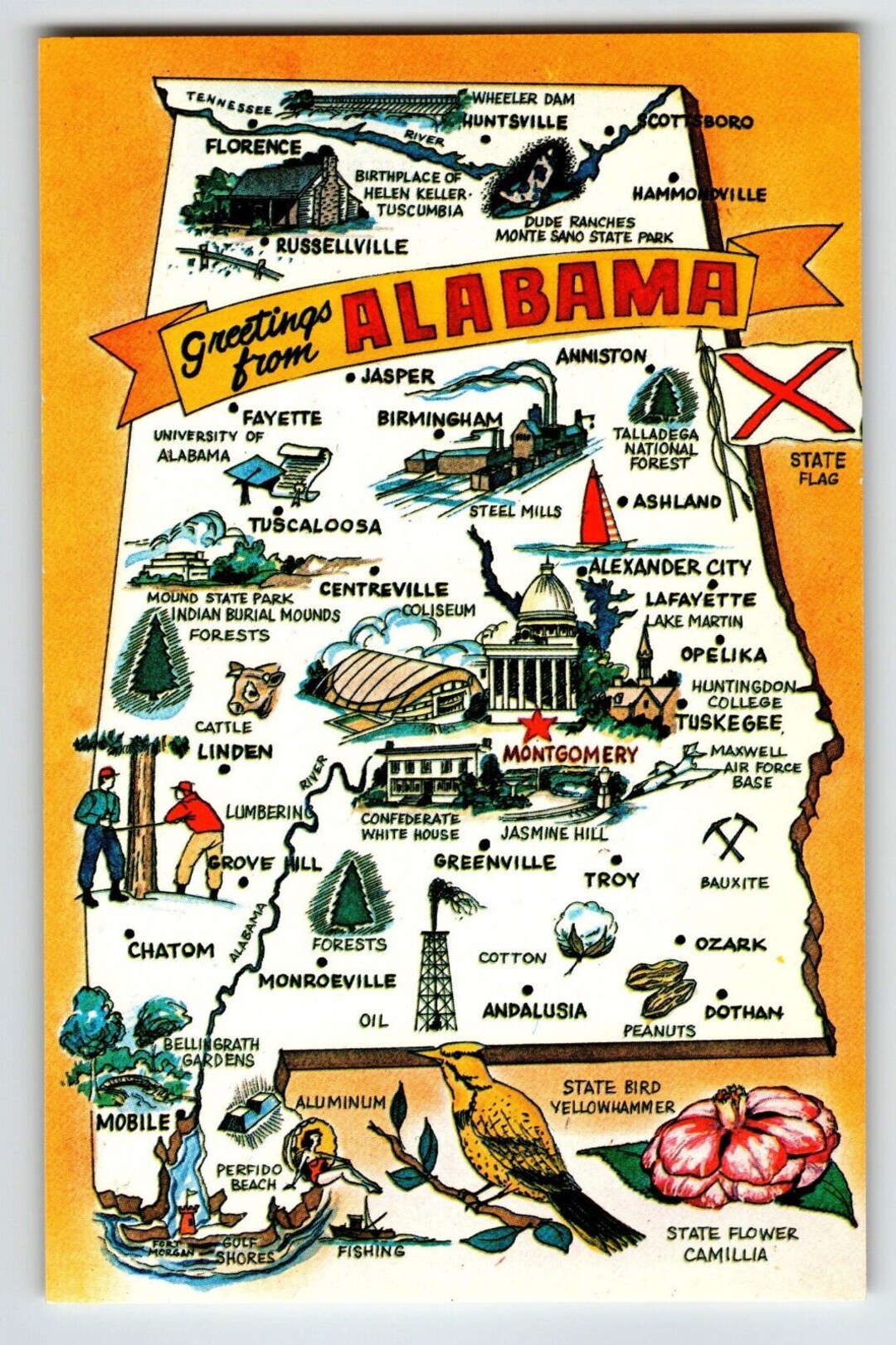 Postcard Greetings From Alabama Map Chrome Camillia State Flower ...
