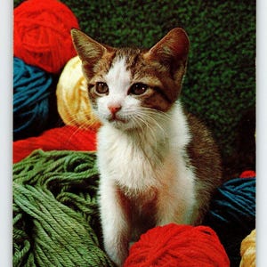 Calico Kitten Cat With Yarn Ball Postcard Chrome Unposted Dexter ...