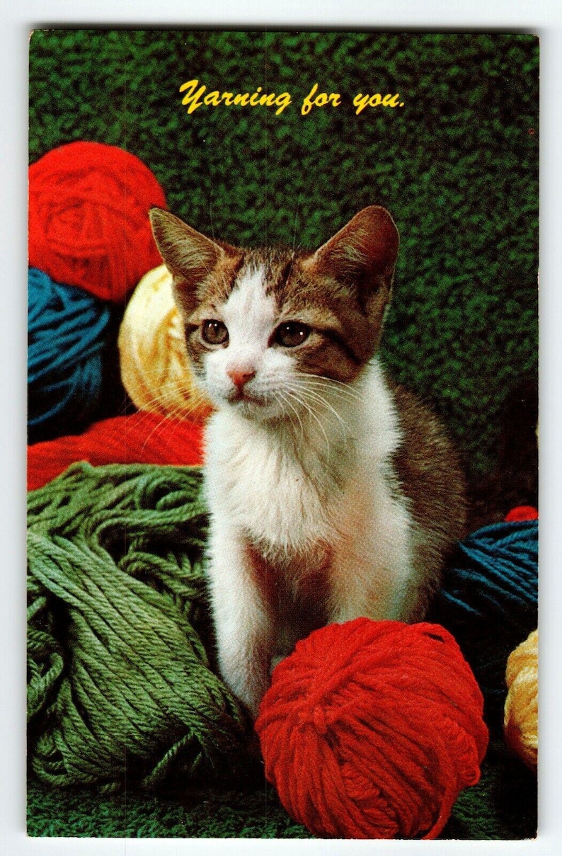 Calico Kitten Cat With Yarn Ball Postcard Chrome Unposted Dexter ...