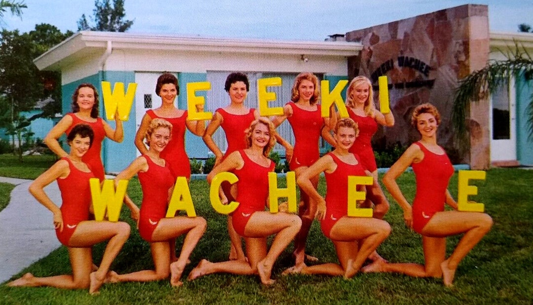 Weeki Wachee Mermaids Florida Postcard Ladies in Swimsuits Holding ...
