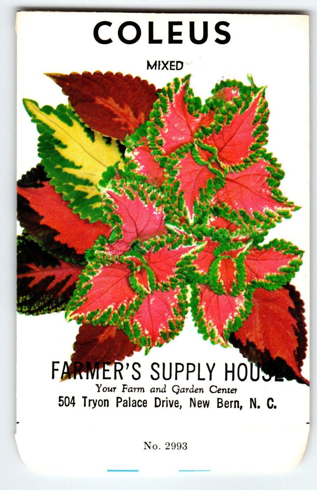 Farmers Supply House Coleus Flower Seed Packet EMPTY Envelope Vintage ...