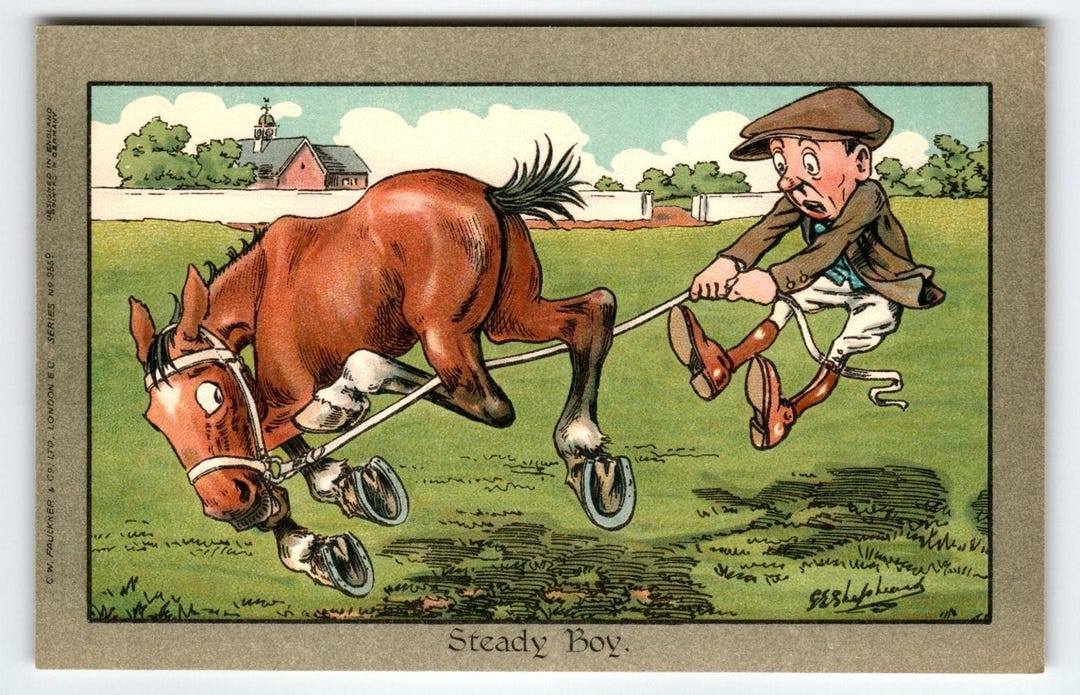 Vintage Comic Horse Postcard Steady Boy by Faulkner & Co Ltd - Etsy