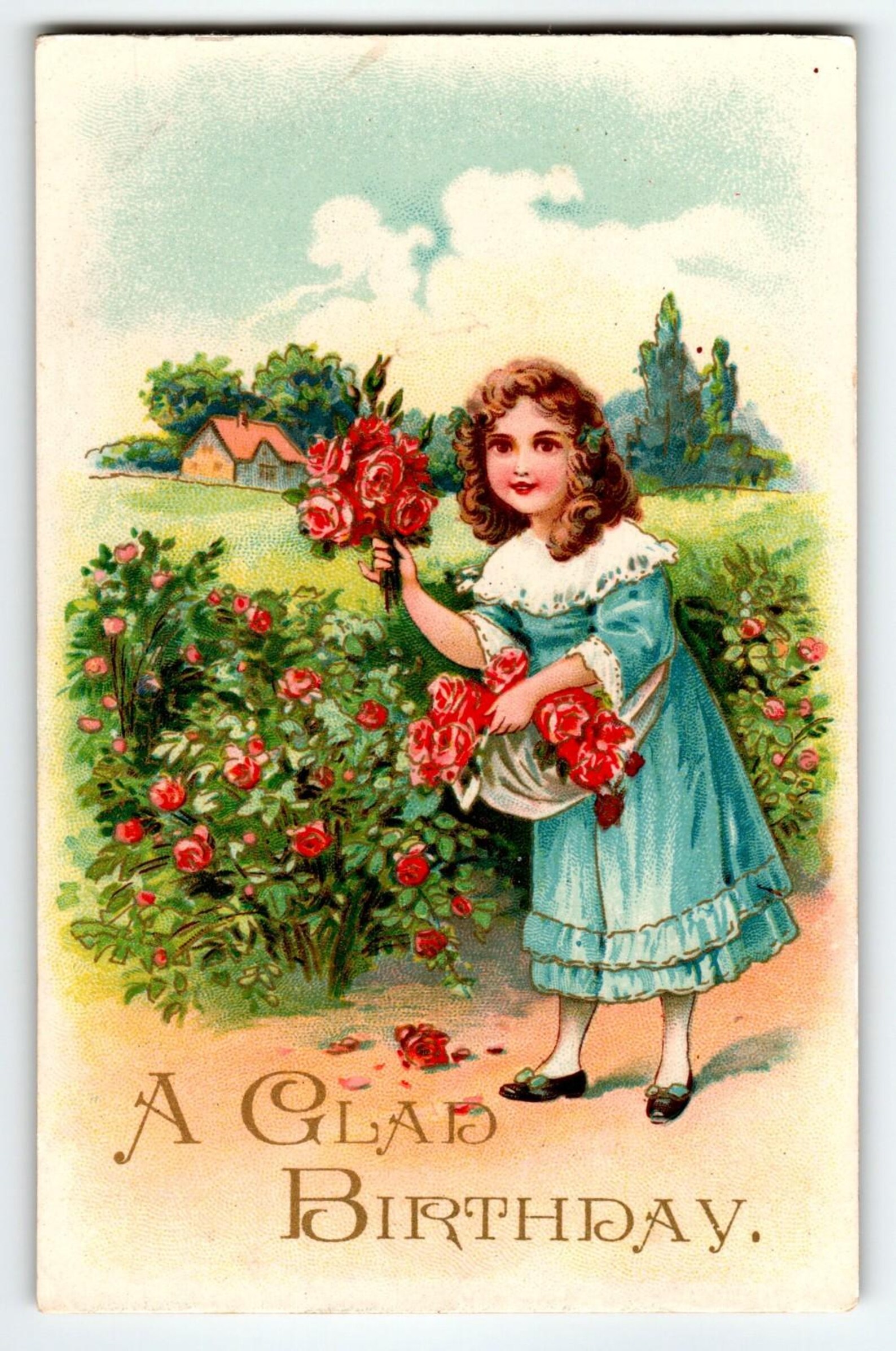 Birthday Postcard Girl Picking Red Roses in Garden "a Glad Birthday ...