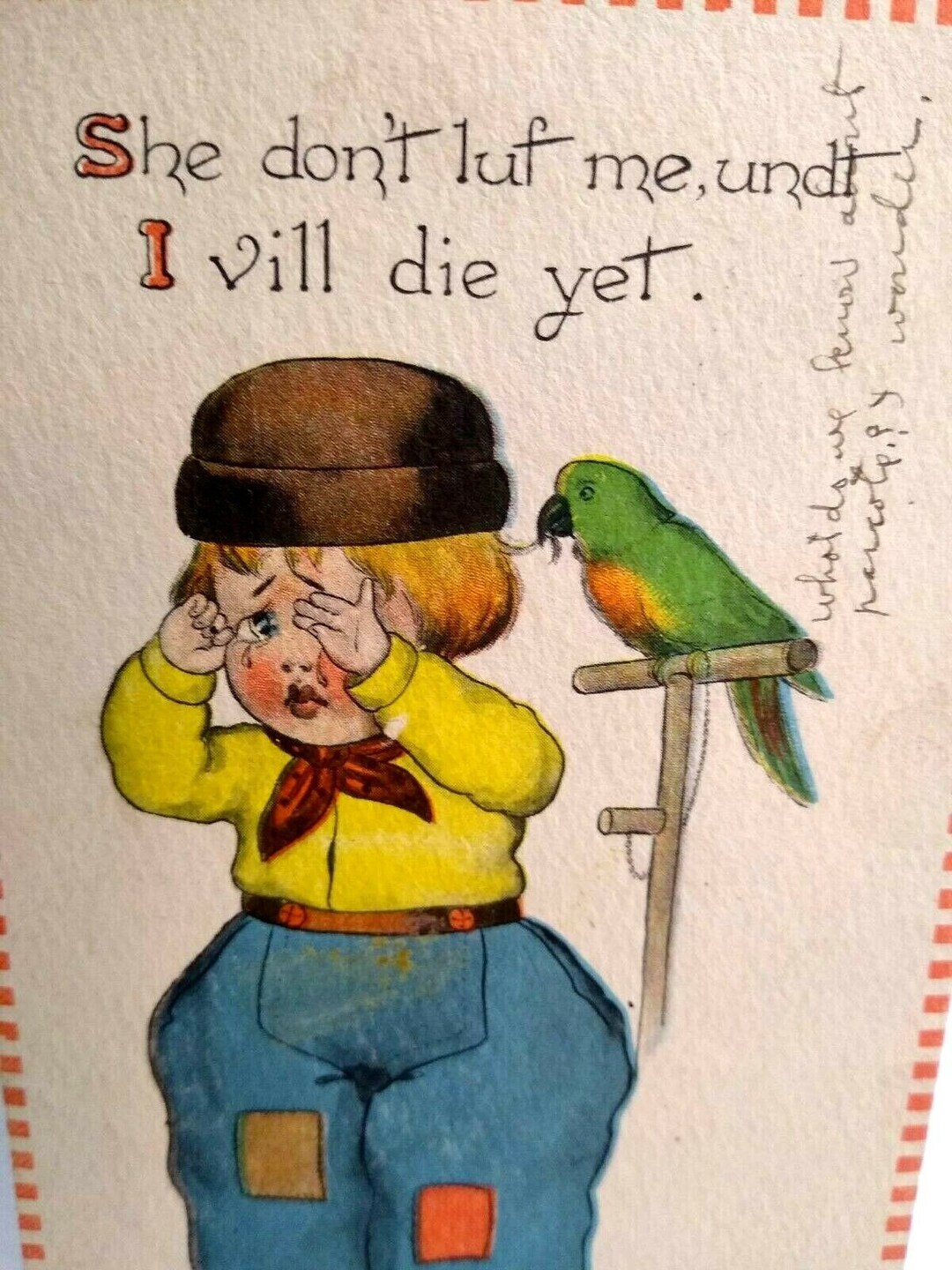 Dutch Boy With Parrot Barton & Spooner Original Vintage Postcard Series ...
