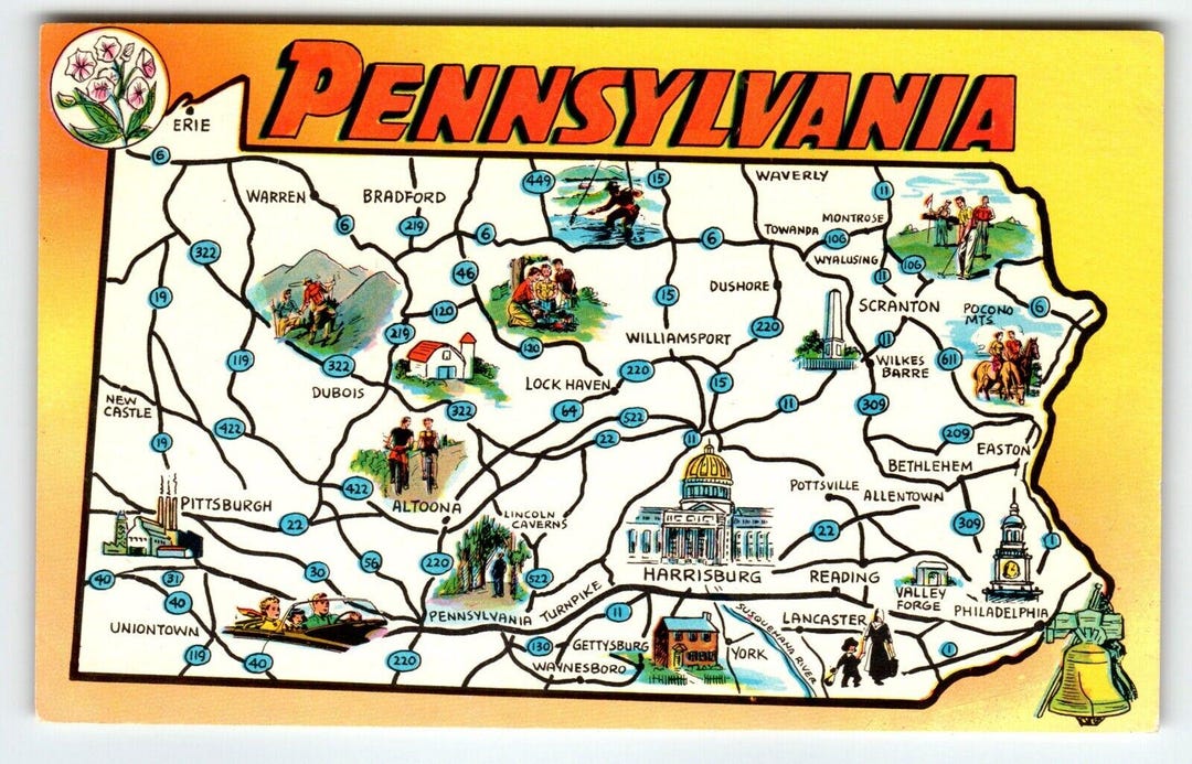 Greetings Pennsylvania Map Postcard Chrome State Flower Mountain-laurel ...