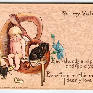 Valentines Day Postcard Tuck E Curtis Boy Pretzel Dachshund Dogs Puppy ...