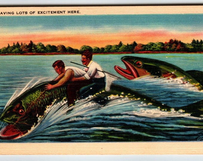 Two Funny Fishing Postcards. Mint - Etsy Canada