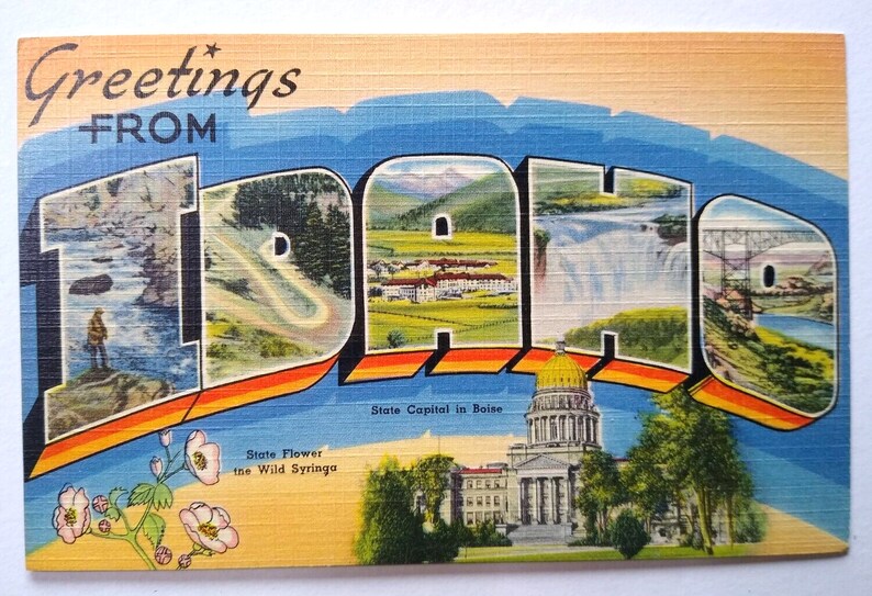 Greetings From Idaho Large Big Letter Postcard Linen Unused - Etsy