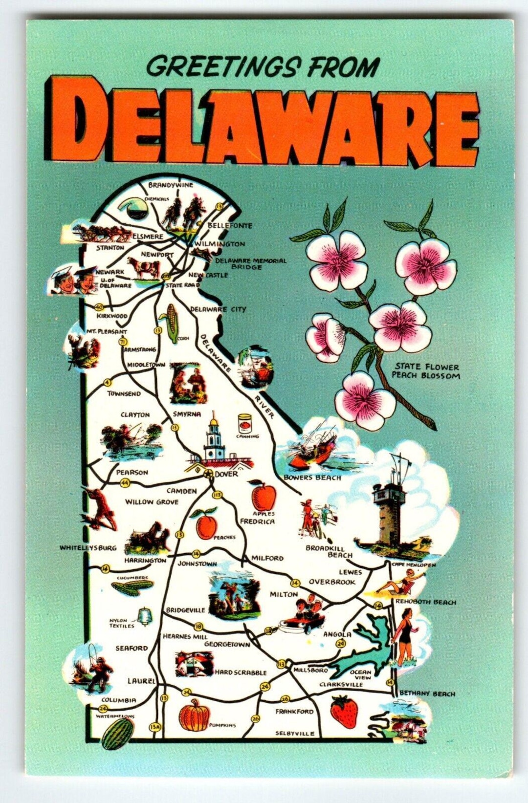 Greetings From Delaware Map Postcard State Flower Peach Blossom ...