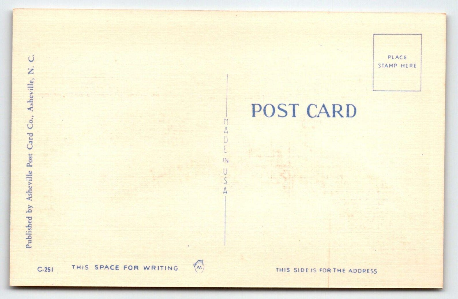 Fishing Linen Postcard Huge Exaggerated 2 Men Riding on Fish Unused ...