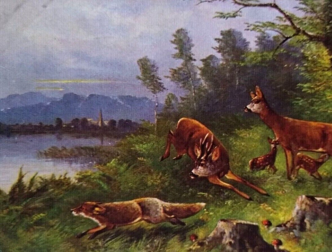 Deer Chasing Fox Wildlife Forest Lake Mountains Scenic View - Etsy