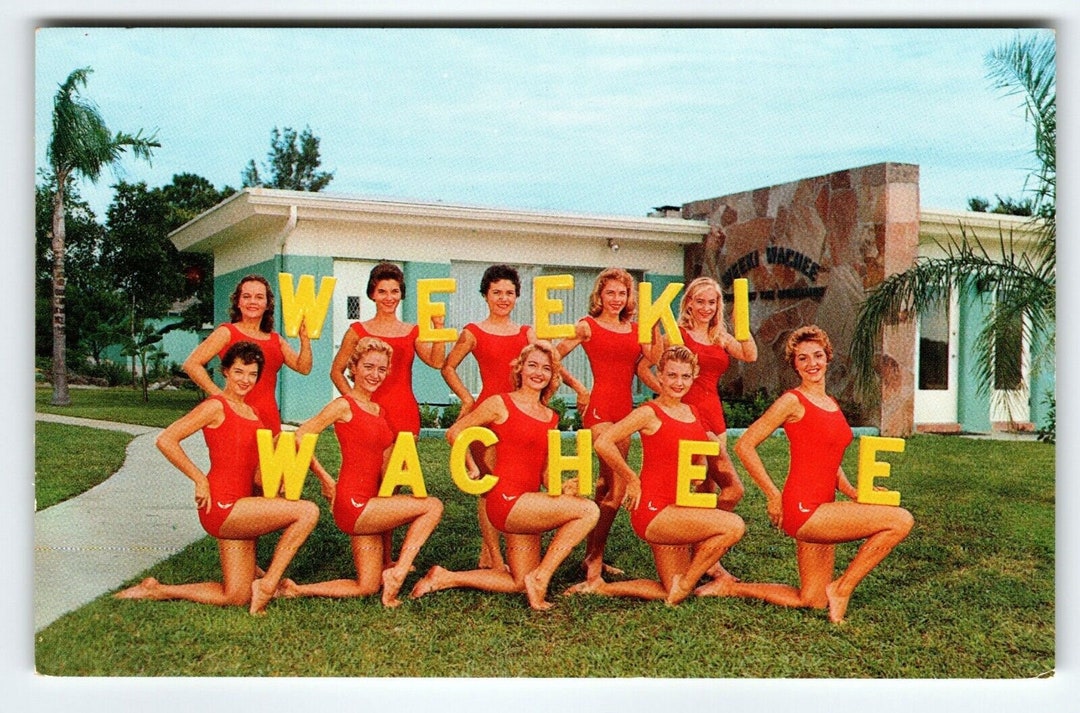 Weeki Wachee Mermaids Florida Postcard Women in Swimsuits Hold - Etsy