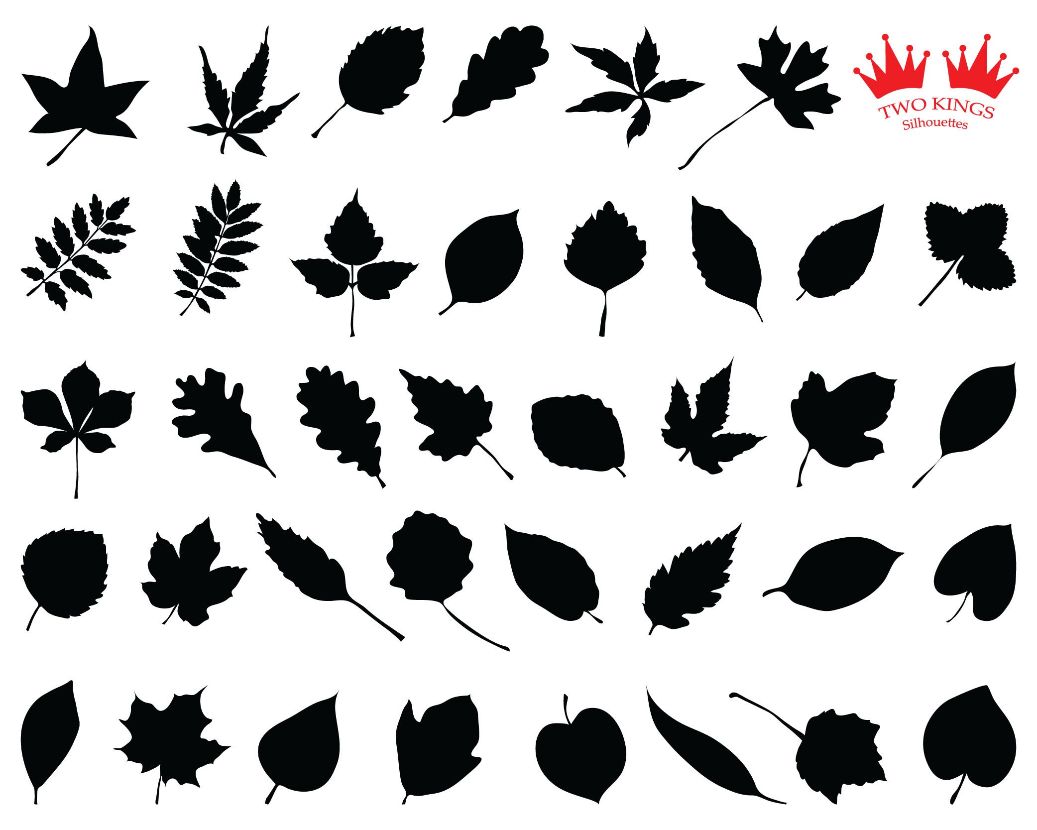 SVG Leaf Silhouette Black Set, Decoration Element Design. Vector Leaf ...