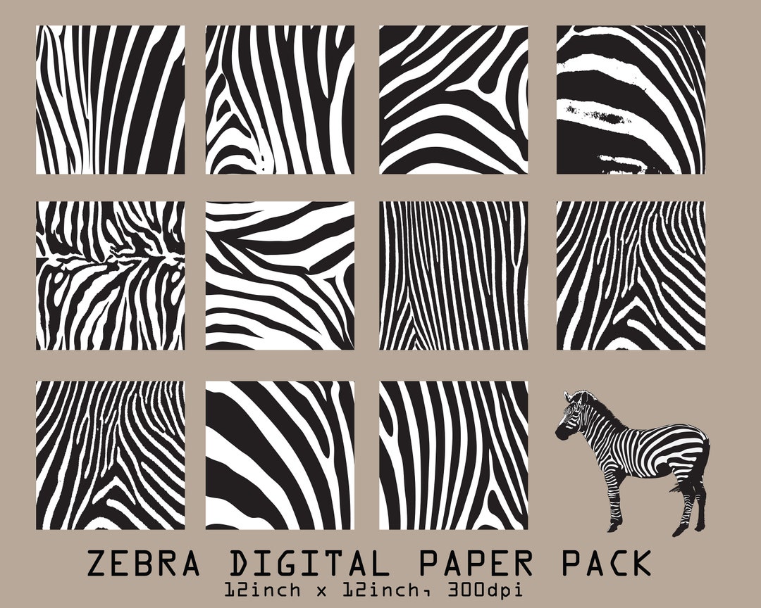 11 Zebra Digital Papers, 12inch With 12inch, 300dpi. Instant Download ...