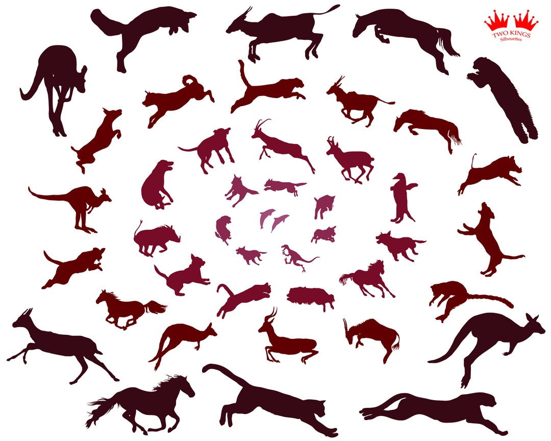 Animals SVG File for Cricut Instant Download Svg Dxf Png - Etsy