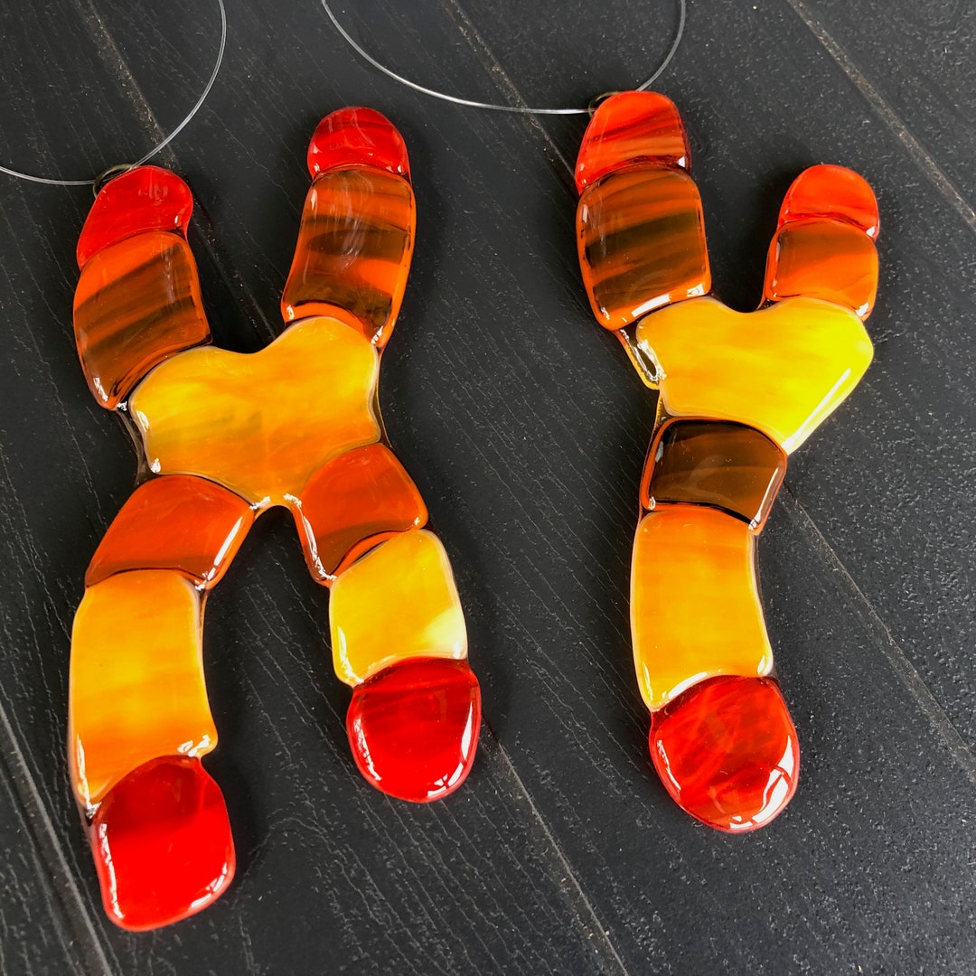 Fused Stained Glass DNA X or Y Matching Ornaments - Etsy