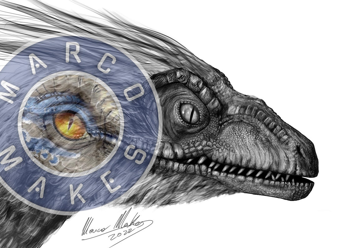 Pyroraptor Drawing Digital Download (Instant Download) - Etsy