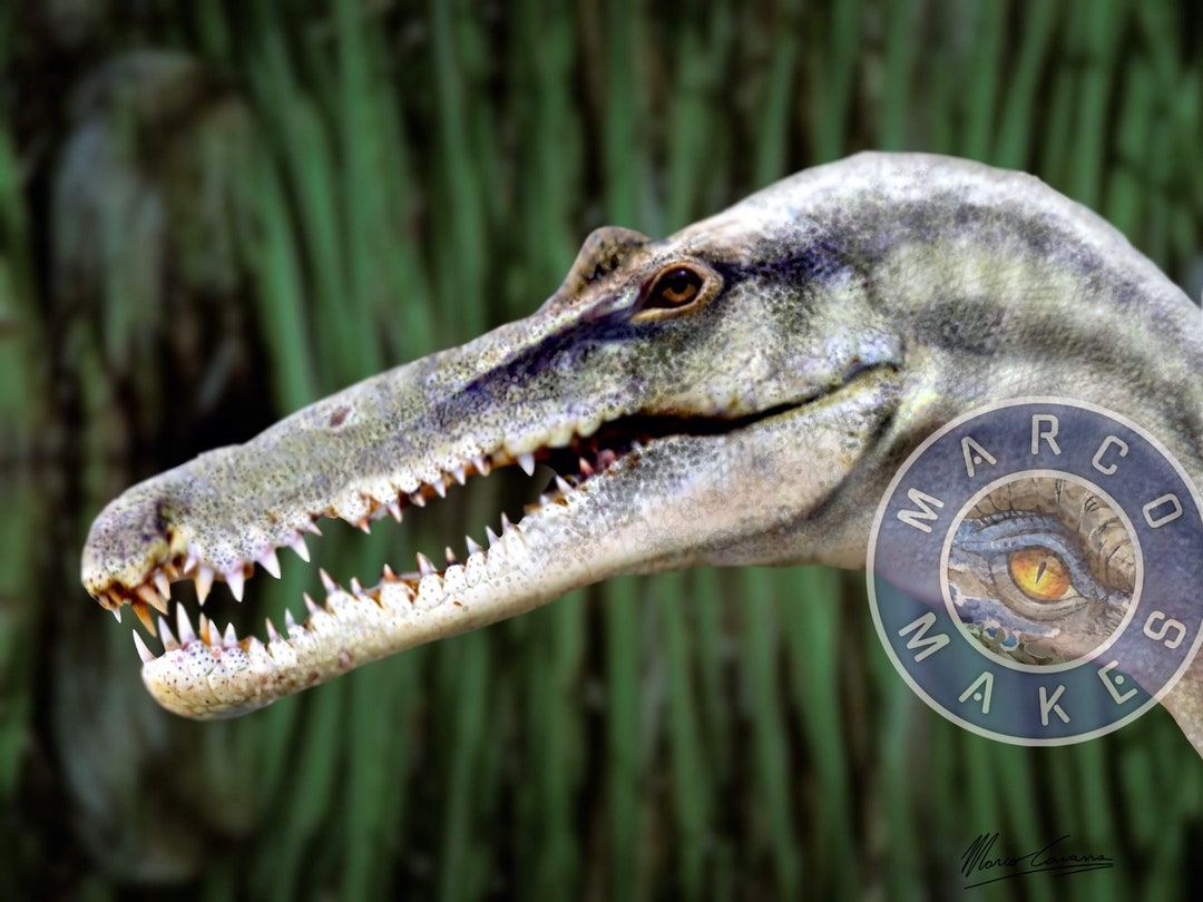 Suchomimus Digital Download - Etsy