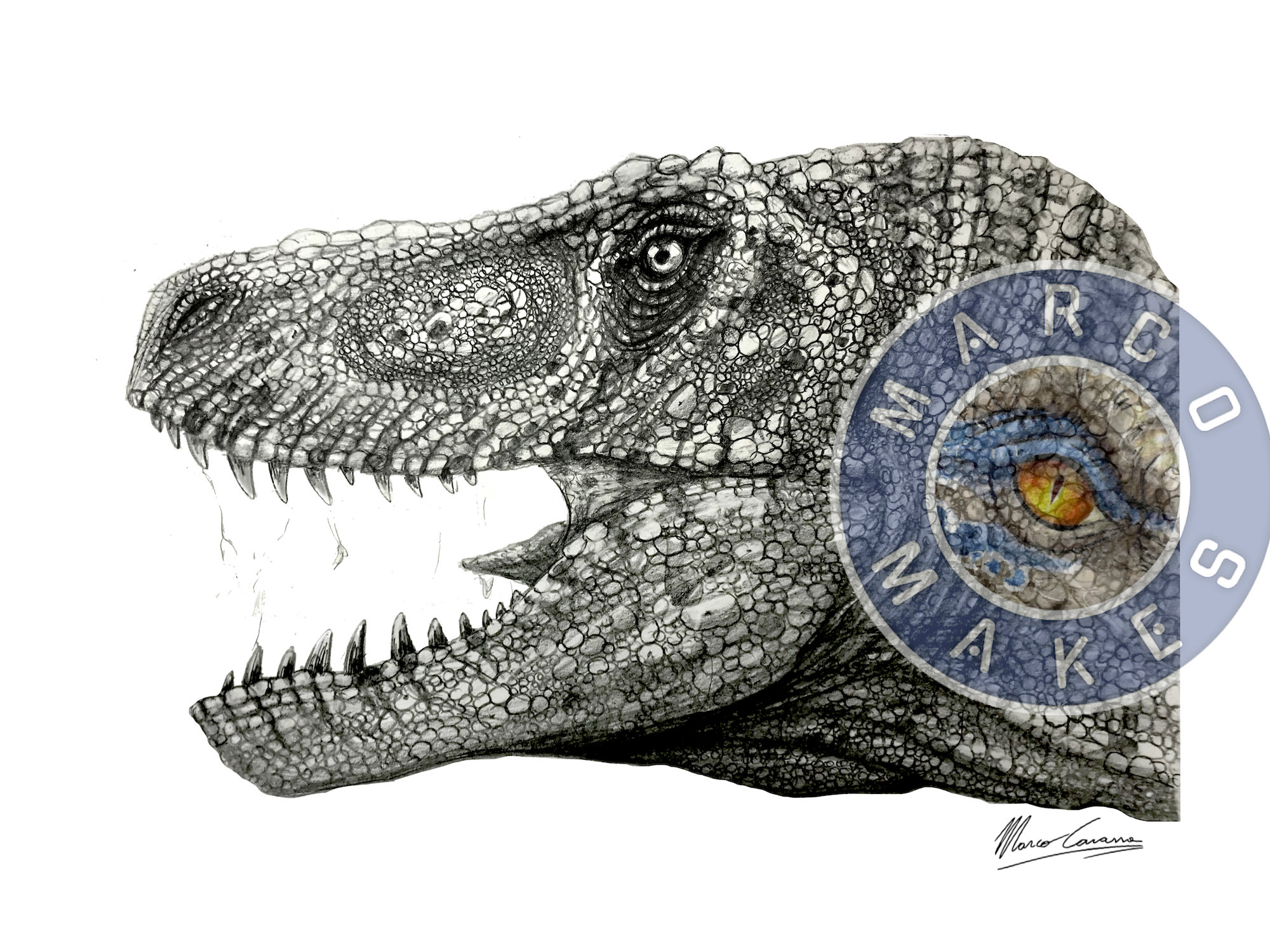 Realistic T Rex Drawing